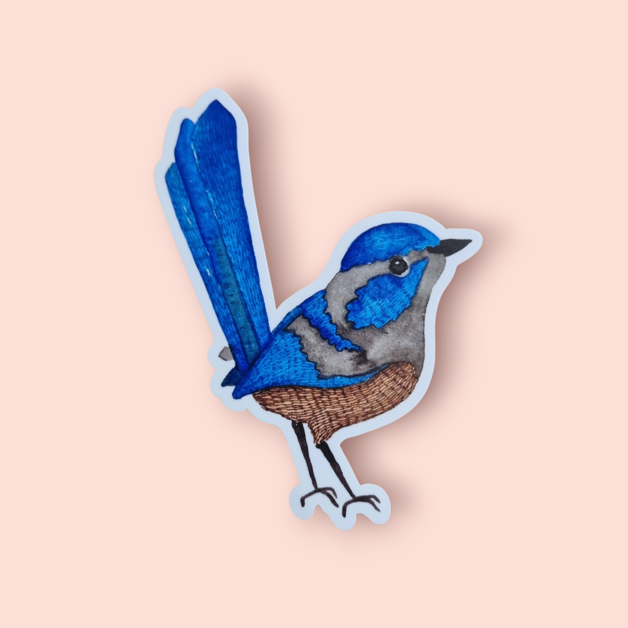 Vinyl Sticker - Blue Fairy Wren – Bosa Art Co
